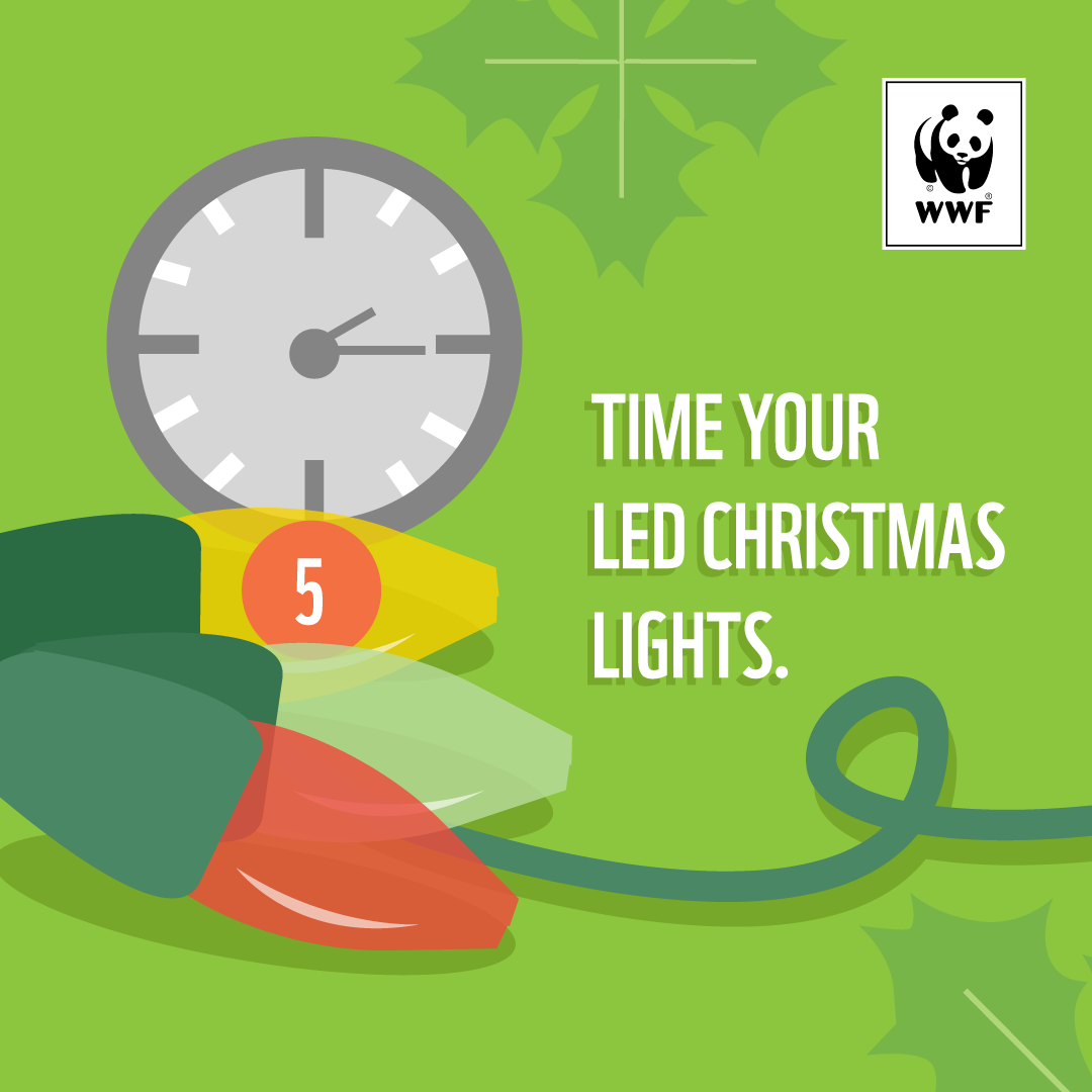 WWF-Philippines | Six Tips to Celebrate a Green Christmas