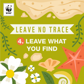WWF-Philippines | The Leave No Trace Seven Principles