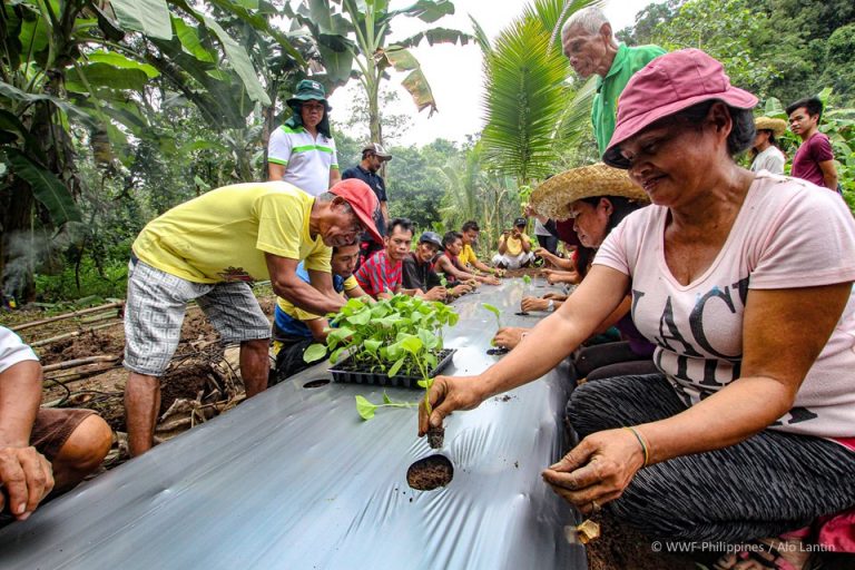 WWF-Philippines | WWF-Philippines Promotes Food Security for the ...