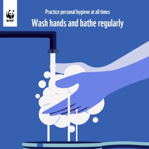 WWF-Philippines | Doing My Part for COVID-19: Together Possible!