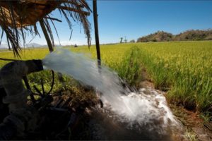 WWF-Philippines | How using water wisely could help save lives