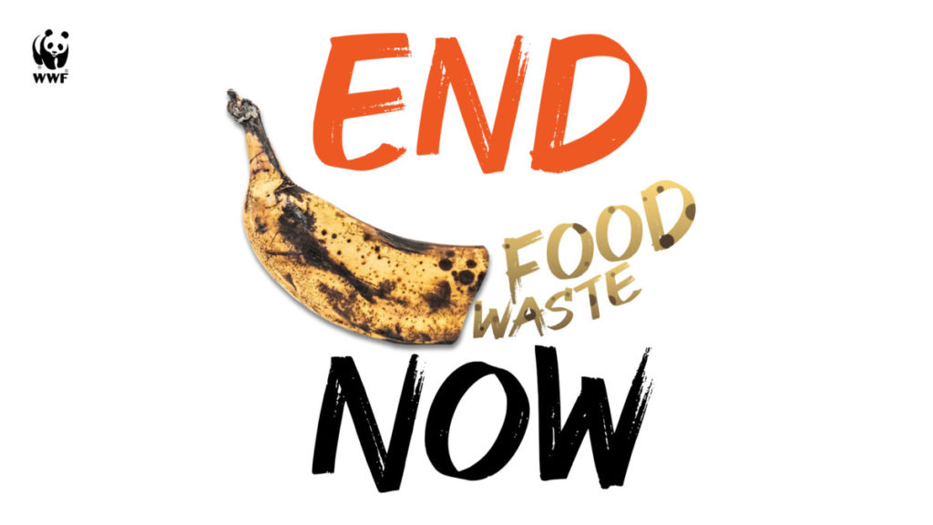 WWF-Philippines | What are We Wasting for? Reducing Food Waste Starts ...