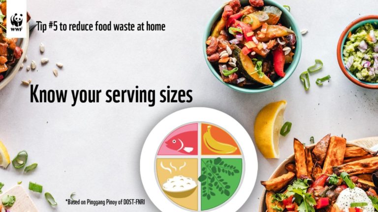 WWF-Philippines | What are We Wasting for? Reducing Food Waste Starts ...