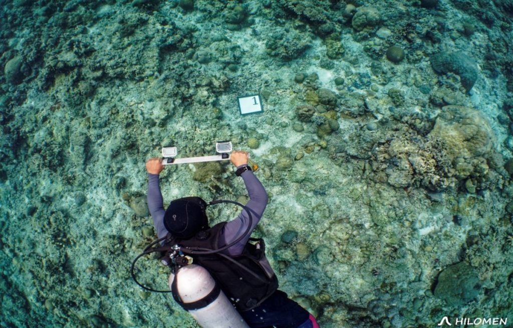 WWF-Philippines | Protection of Tubbataha Reef gets boost with new ...