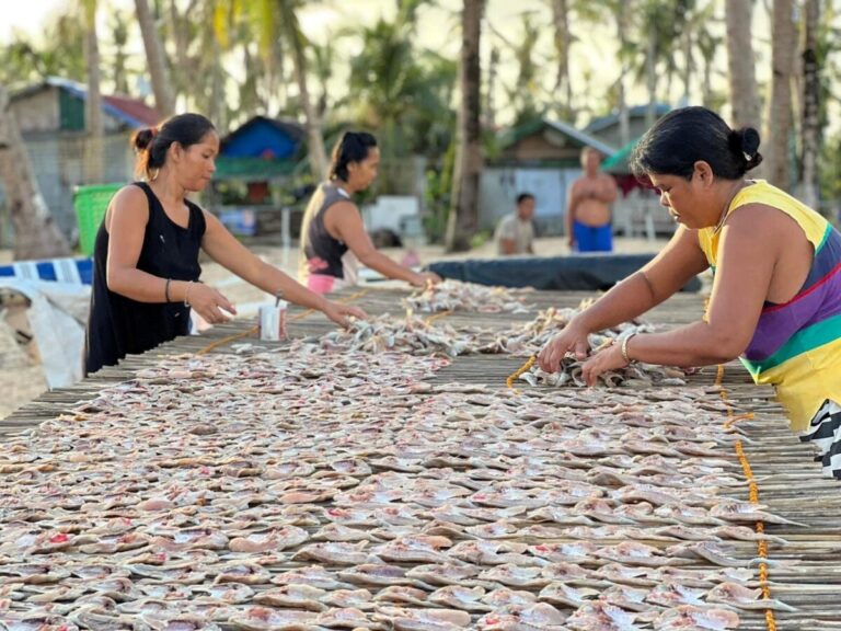 WWF-Philippines | WWF-Philippines, BPI Foundation provide climate risk ...