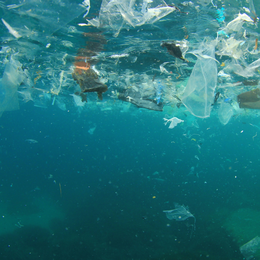 WWF-Philippines | UN Plastic Pollution Treaty ‘one step closer’ to ...